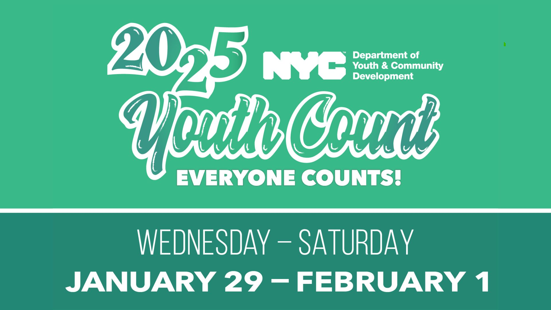 Youth Count Survey